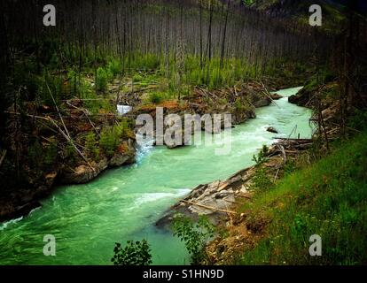 Simpson River, Kootenay National Park, British Columbia, Canada Stock ...