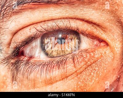 Human eye, hazel colour Stock Photo - Alamy