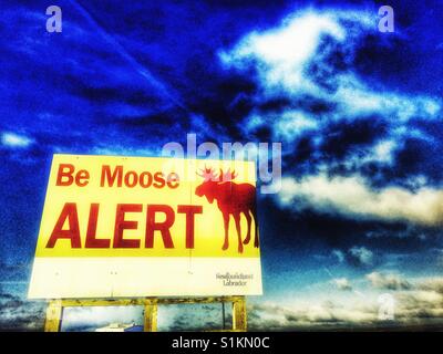 Sign warning drivers of danger of moose crossing the highway ...