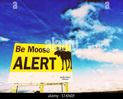 Sign warning drivers of danger of moose crossing the highway Stock ...