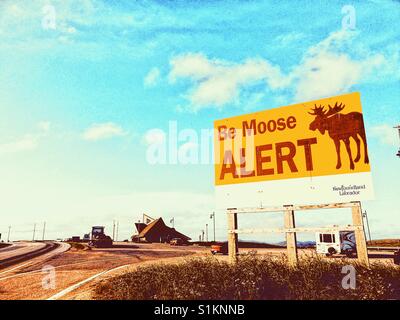 Sign warning drivers of danger of moose crossing the highway ...