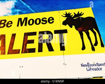 Sign warning drivers of danger of moose crossing the highway ...