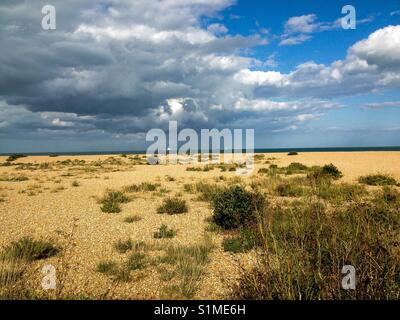 The Strand and Beach, Walmer, Kent Stock Photo - Alamy