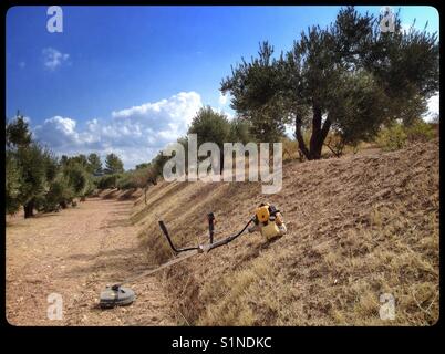 Spain terraced terraces olive grove orchard huerto garden farming Stock ...