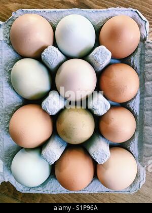 A dozen, twelve free-range eggs, ungraded showing different colours and ...