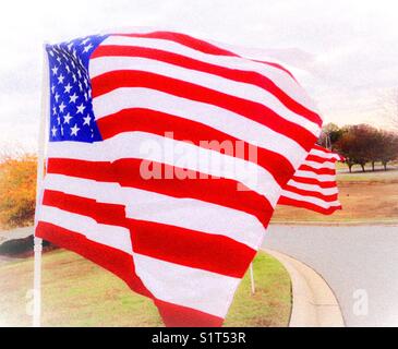 Flag of the United States of America unfurled in the wind Stock Photo ...