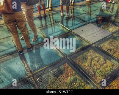 Madeira - tourists on the glass floor terrace at the top of Cabo Girao ...
