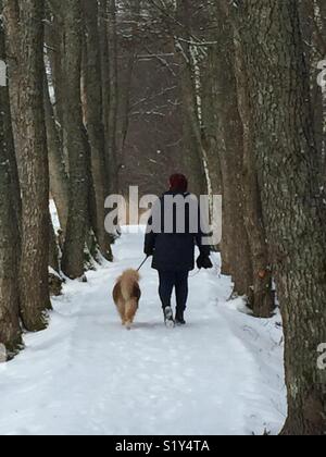 Two female friends walking their pet dogs off lead leash on a sunny ...