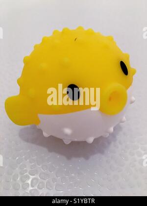 isolated, fish, toy, rubber, bathroom, lawn, green, backdrop ...