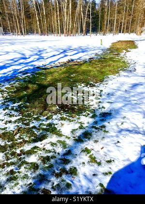 First snow in the forest in sunny day of late autumn Stock Photo - Alamy