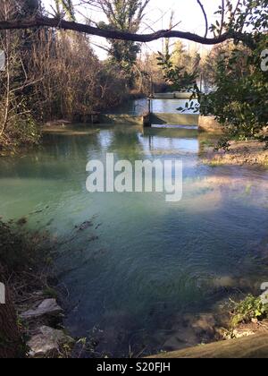 The Timavo river, Trieste Stock Photo - Alamy