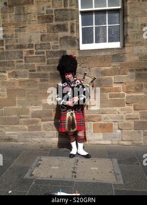 Scottish Piper Edinburgh Castle Scotland UK Stock Photo: 26079600 - Alamy