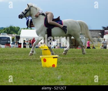 pony club mounted games Stock Photo - Alamy