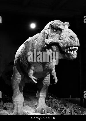 Scary T- Rex Dinosaur Stock Photo - Alamy