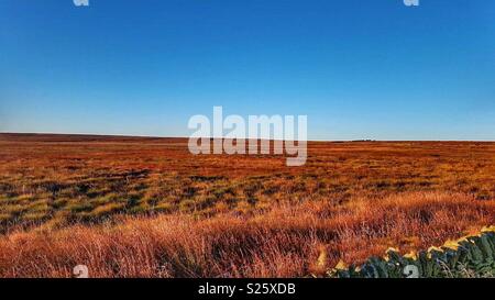 Hade Edge, Holmfirth, Yorkshire, UK, 13 October 2024. Holmfirth 10K, a ...