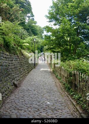 Clovelly Cornwall UK cobbled street steep Stock Photo - Alamy