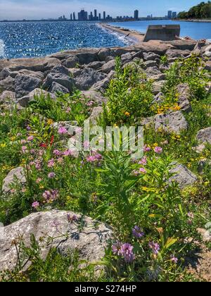 A break wall on Lake Ontario in Toronto Stock Photo - Alamy