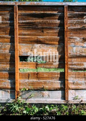 old wooden fence damaged in the wild, Fantanele village area, Sibiu ...