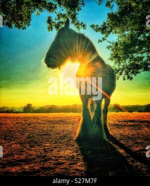 sun at sunrise Stock Photo - Alamy