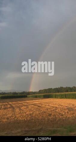 Rainbow over a golden field of corn, Stowe, Vermont, USA Stock Photo ...