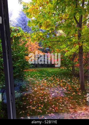 Backyard photos, Calgary, Alberta, autumn leaves, colours Stock Photo ...