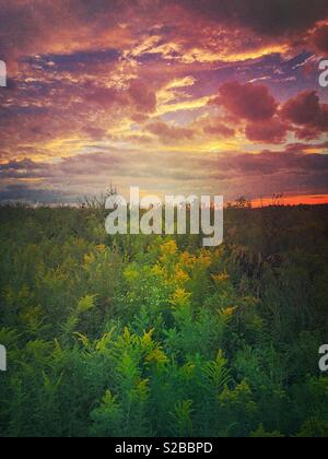sunset with clouds over field at autumn Stock Photo - Alamy