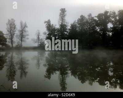 deep dark forest lake with reflections of trees and green foliage with ...
