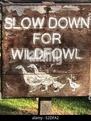 A 'Slow Swans Crossing' road sign on a traffic island in Barnes ...