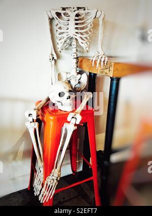 Skeleton Sitting on Stool Stock Photo - Alamy