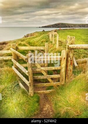 Wooden gate on a hiking path in the Yorkshire Dales, England, UK Stock ...