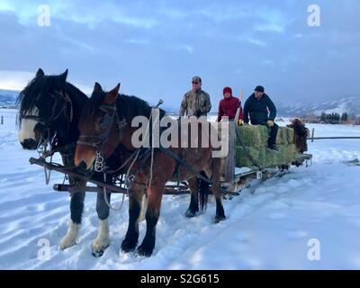 hay ride family fun Stock Photo - Alamy