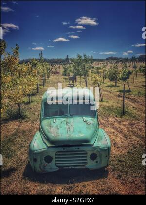 Rusty vintage truck at Toeka Stoor in Windmeul near Paarl, South Africa ...