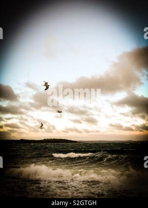 View of Largs Stock Photo - Alamy
