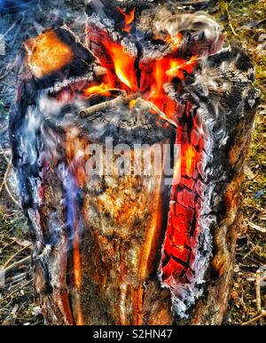 Swedish fire log burning, Sweden, Scandinavia. The logs are vertically ...