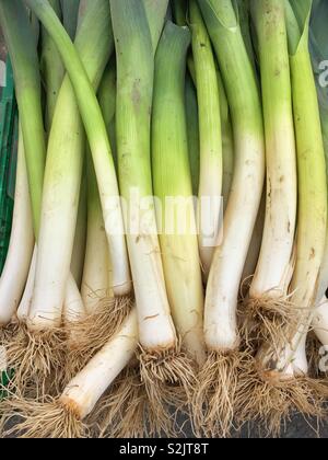 Leeks for sale at a market stall Stock Photo - Alamy