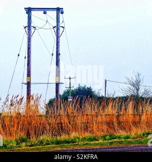 Rural electrical power lines in Cornish field, UK. Power line set ...