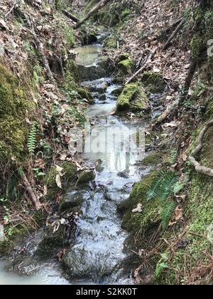 Creek after the rain Stock Photo - Alamy