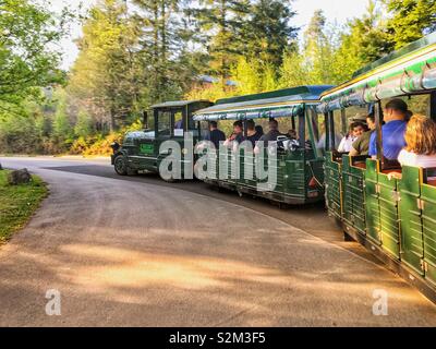 The land train at Center Parcs , Longleat, Wiltshire, England, United ...