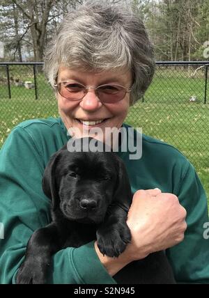 Smiling Black Labrador Puppy Stock Photo - Alamy