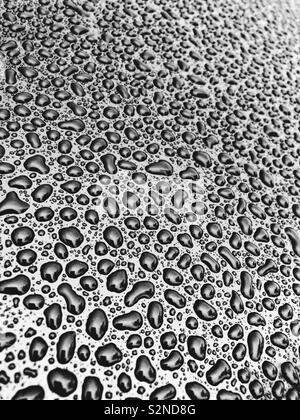 Droplets of Rain Stock Photo - Alamy