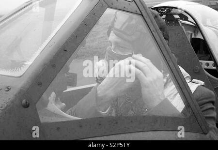 RAF WW2 Pilot with Spitfire Stock Photo - Alamy