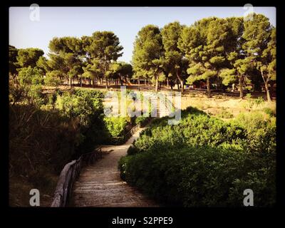 Parco di monte urpinu Cagliari Stock Photo - Alamy