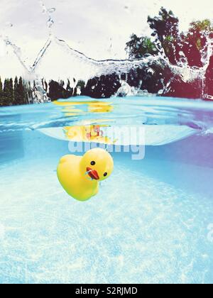 A yellow toy rubber duck plunging into swimming pool creating a splash ...