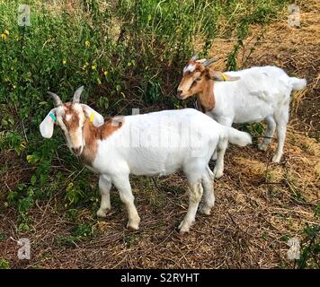 Purdown, Stoke Park Estate Lockleaze, Bristol, popular public park for ...
