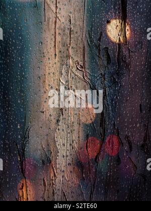 Tree bark background for your design. Abstract natural wood texture ...