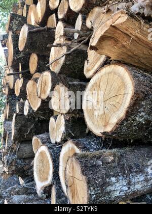 Stacked lumber logs ready for transport Stock Photo - Alamy