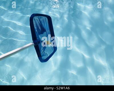 Scooping leaves out of a swimming pool Stock Photo - Alamy