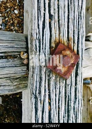 Section of wooden groyne on Sussex beach in England Stock Photo - Alamy