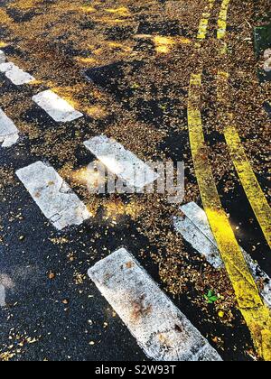 Give Way road markings at road junction Stock Photo - Alamy
