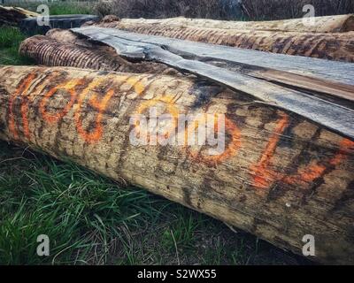 Rejected lumber marked “NO GOOD” Stock Photo - Alamy